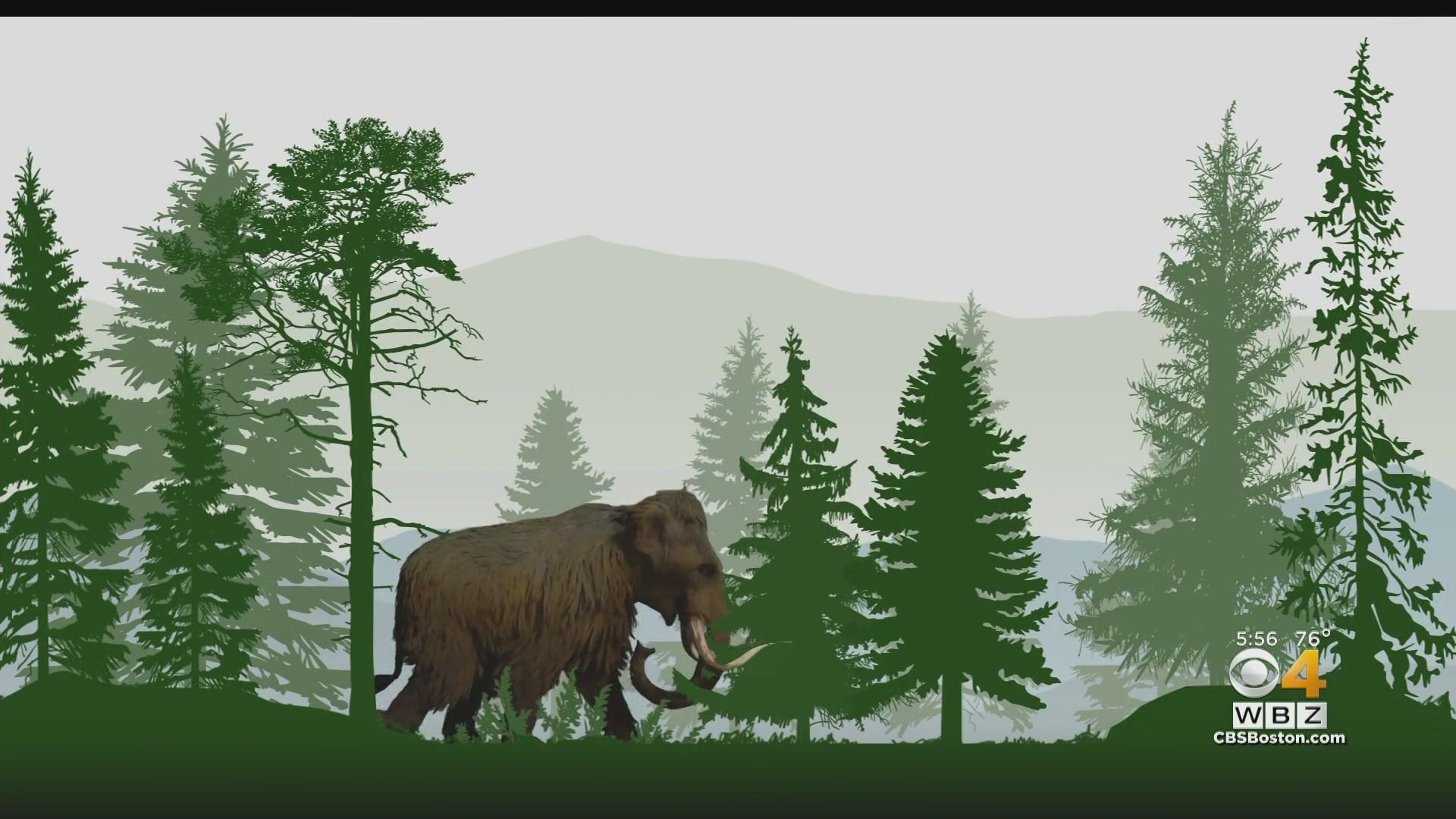 Texas company, Harvard scientist hope to combat climate change by ...