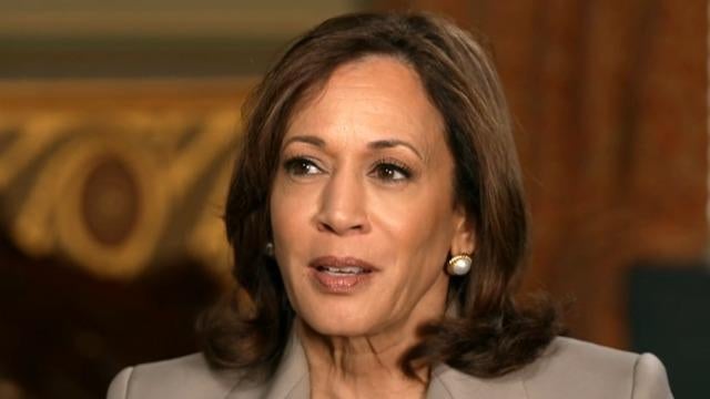 Vice President Kamala Harris says Democrats "should have rightly ...