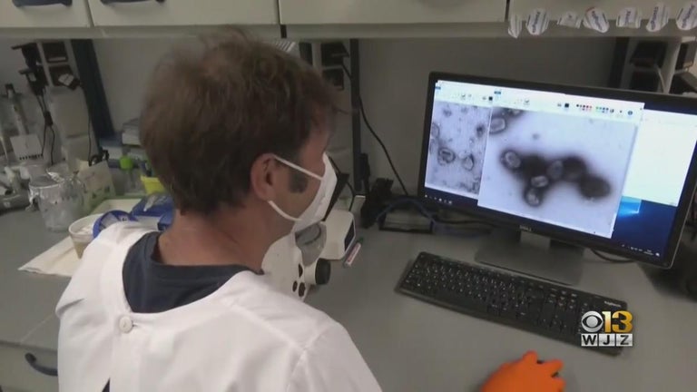 Monkeypox cases in Maryland surpass 110, CDC data show - CBS Baltimore