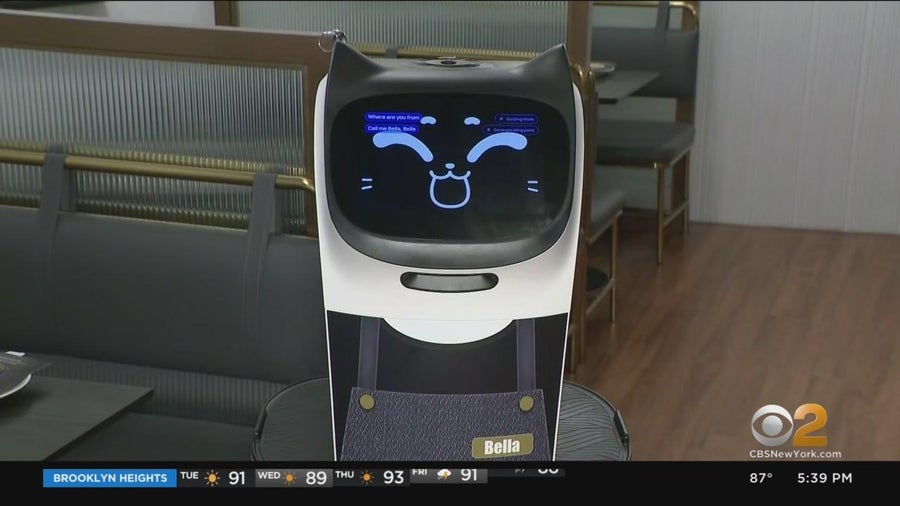 Bellabot robot cat server now helping customers at restaurants across ...