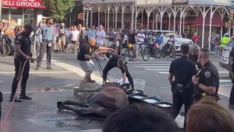 Ryder, the carriage horse who collapsed on a New York City street in ...