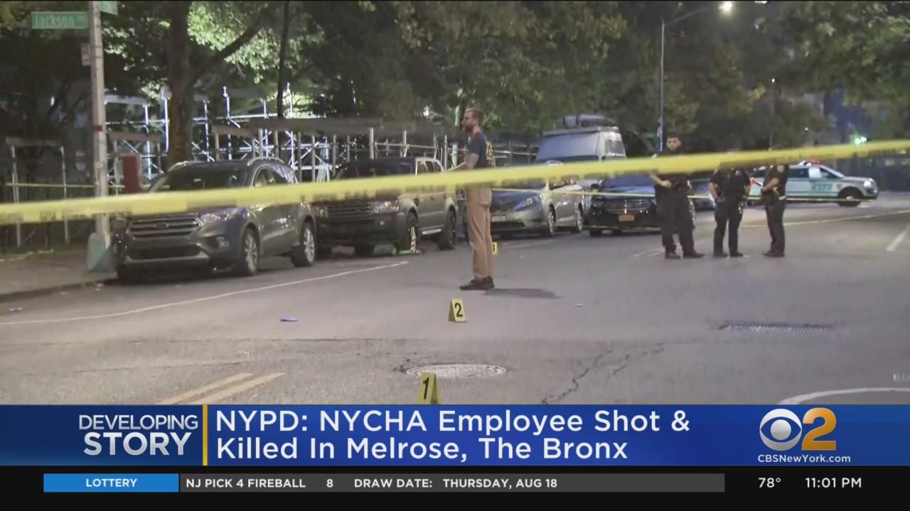 Police: NYCHA employee fatally shot in the Bronx - CBS New York
