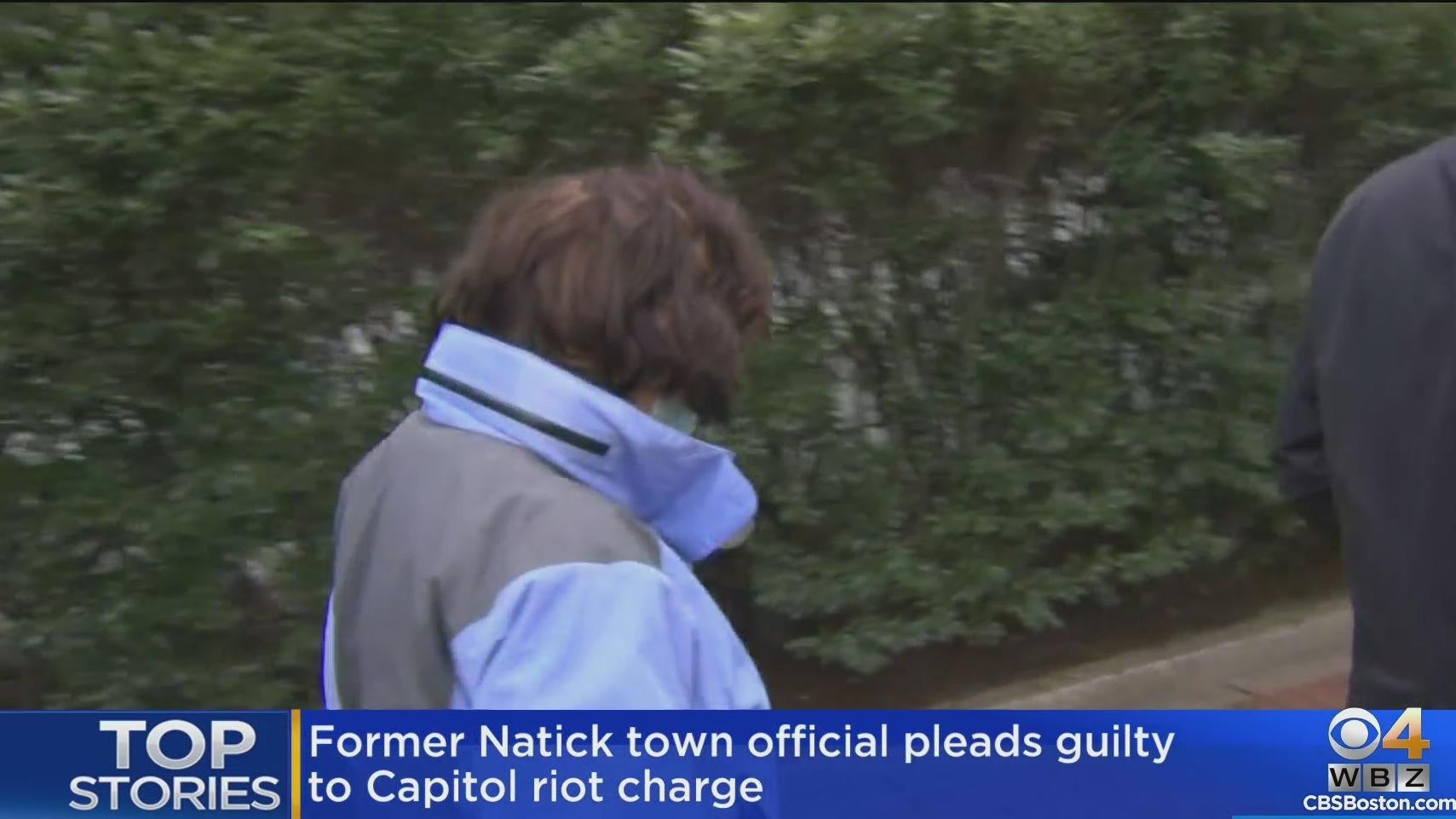 Ex-Natick official Suzanne Ianni pleads guilty to Capitol riot charge ...