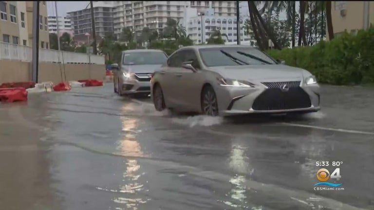 Scientists warn South Florida coastal cities will be affected by sea ...