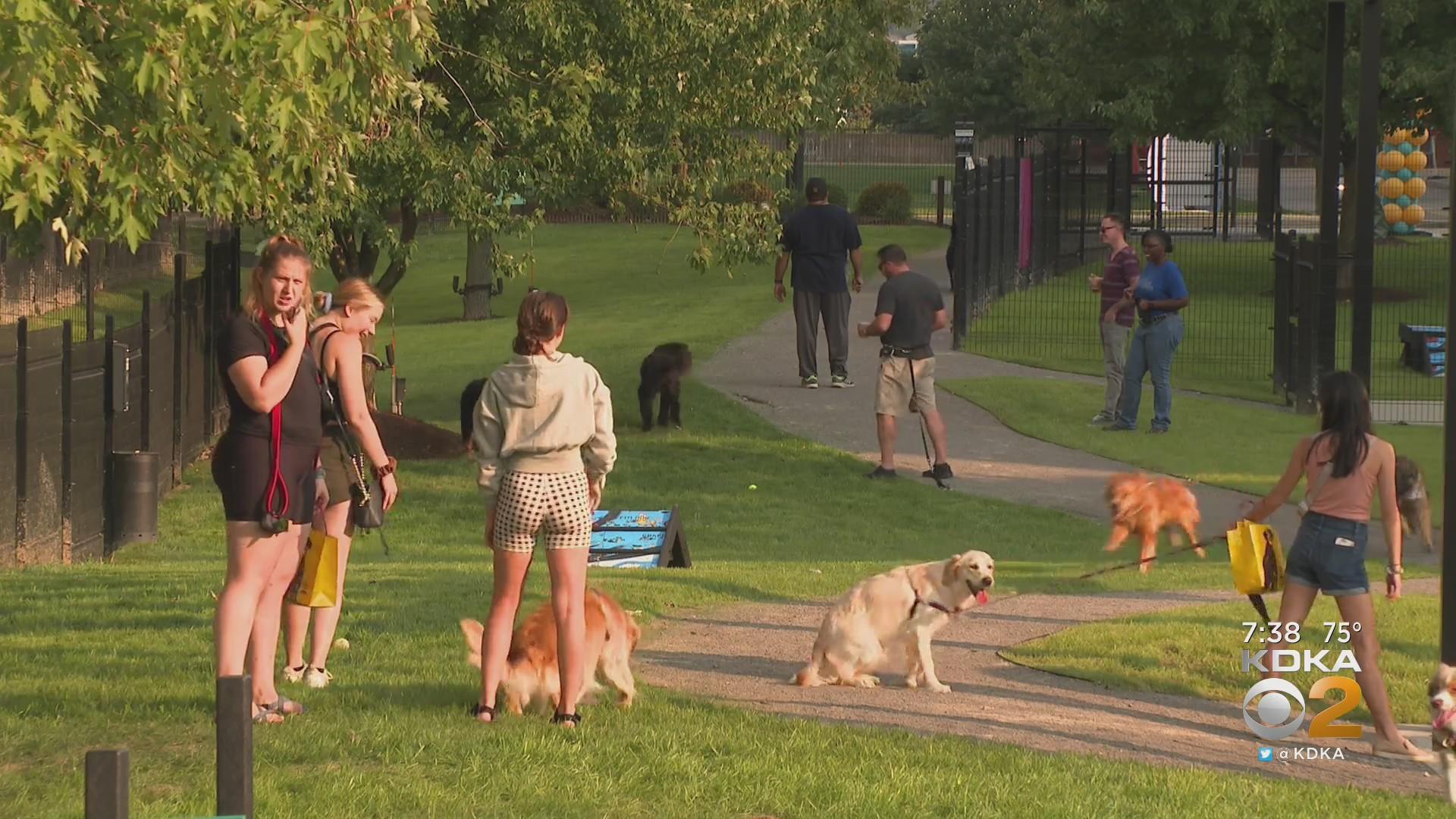 Dog park with mobile taproom opens in Pittsburgh - CBS Pittsburgh
