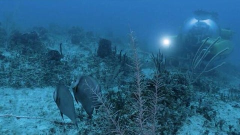 Colossal squid filmed for the first time 2,000 feet below the ocean's ...