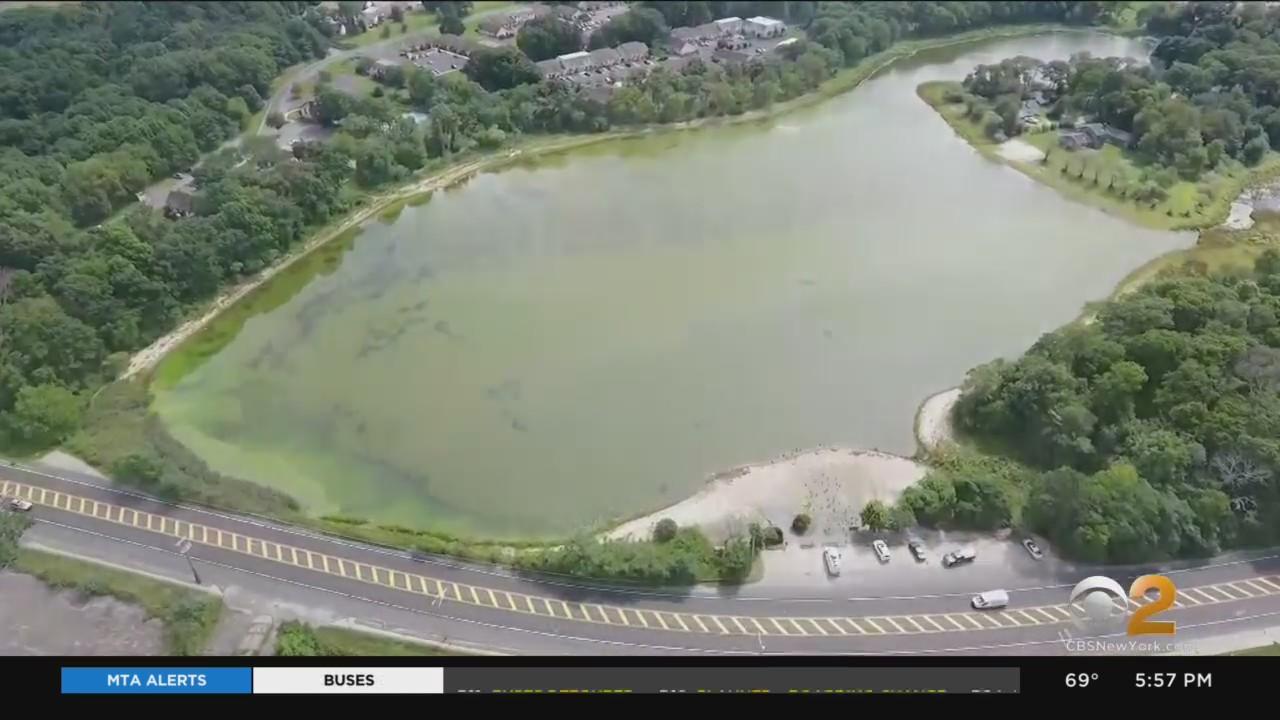 NYS Department of State releases new plan to improve conditions along ...