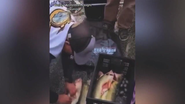 Lake Erie fishing tournament rocked by cheating scandal after ...