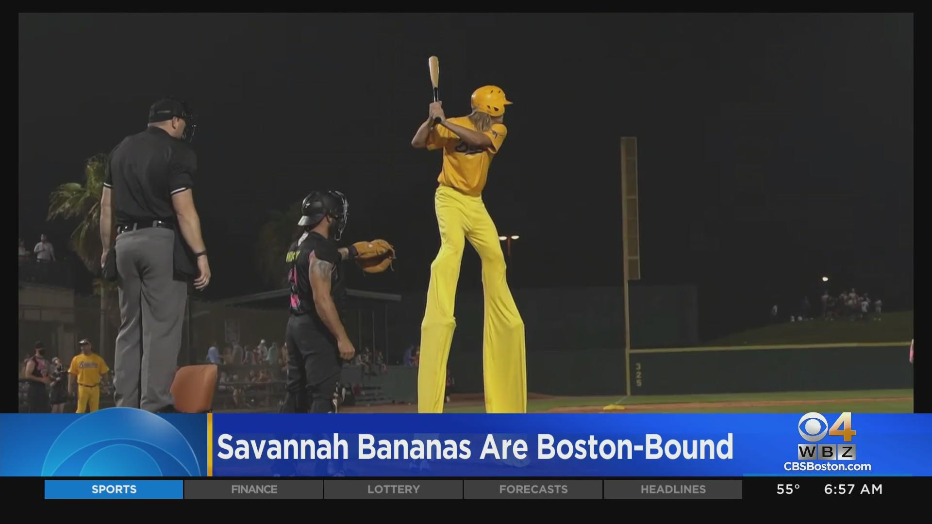 Savannah Bananas bringing 'baseball circus' to Brockton next summer ...