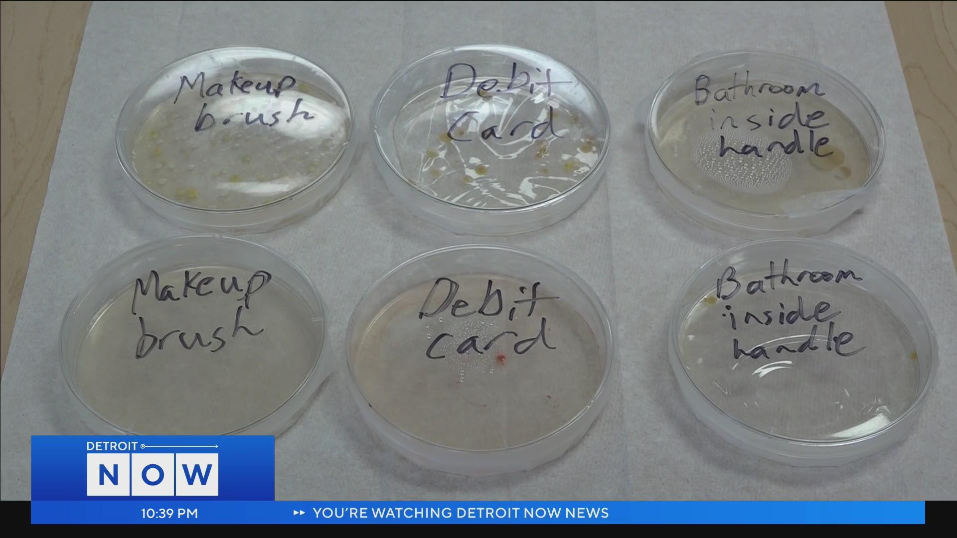 Science of Weather: Bacteria and mold growth - CBS Detroit
