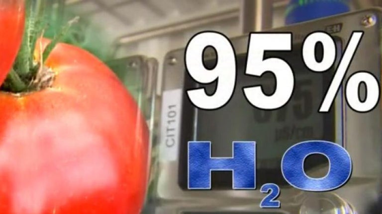Tapping tomatoes: Central Valley processors making drinking water from ...