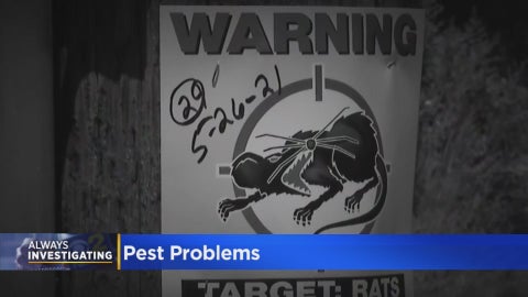 West Town ranks at top for rodent complaints again in Chicago, the ...