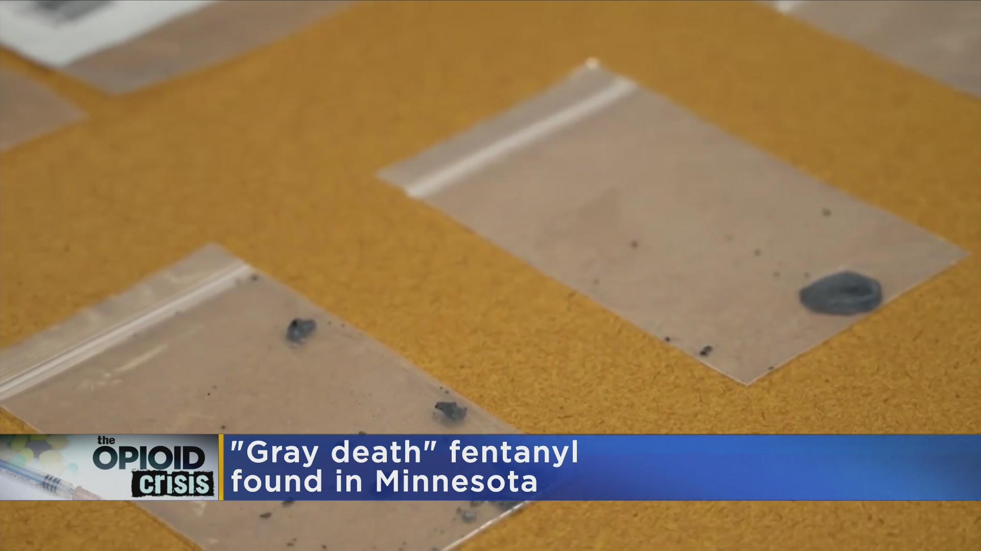 "Gray death" fentanyl seized during Bloomington drug bust - CBS Minnesota