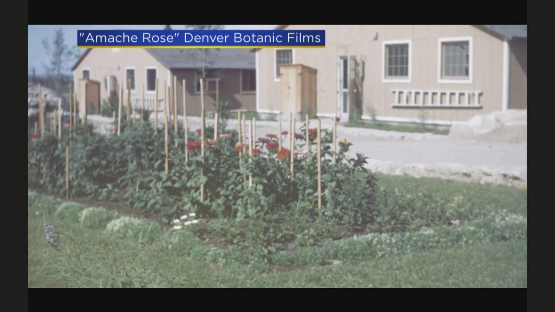 Colorado's Amache National Historic Site is America's newest national ...