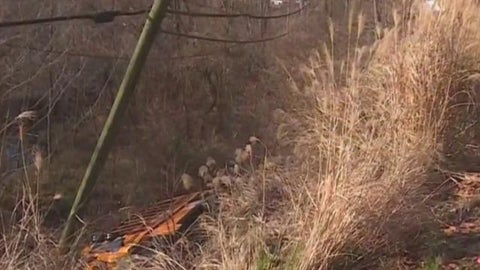 18 children and driver hospitalized with injuries after school bus ...