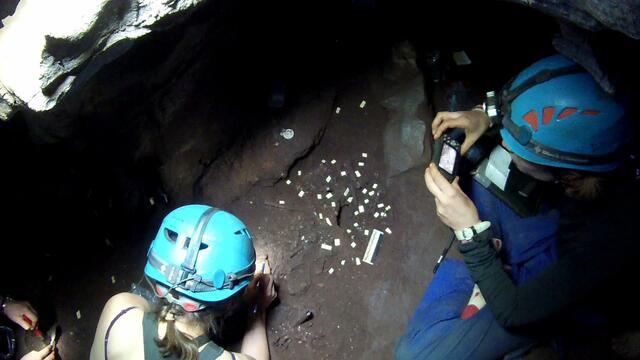 Scientists claim remarkable evidence that ancient human relatives ...