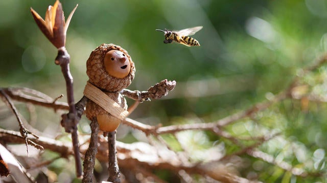 David Bird's whimsical Becorn sculptures - CBS News