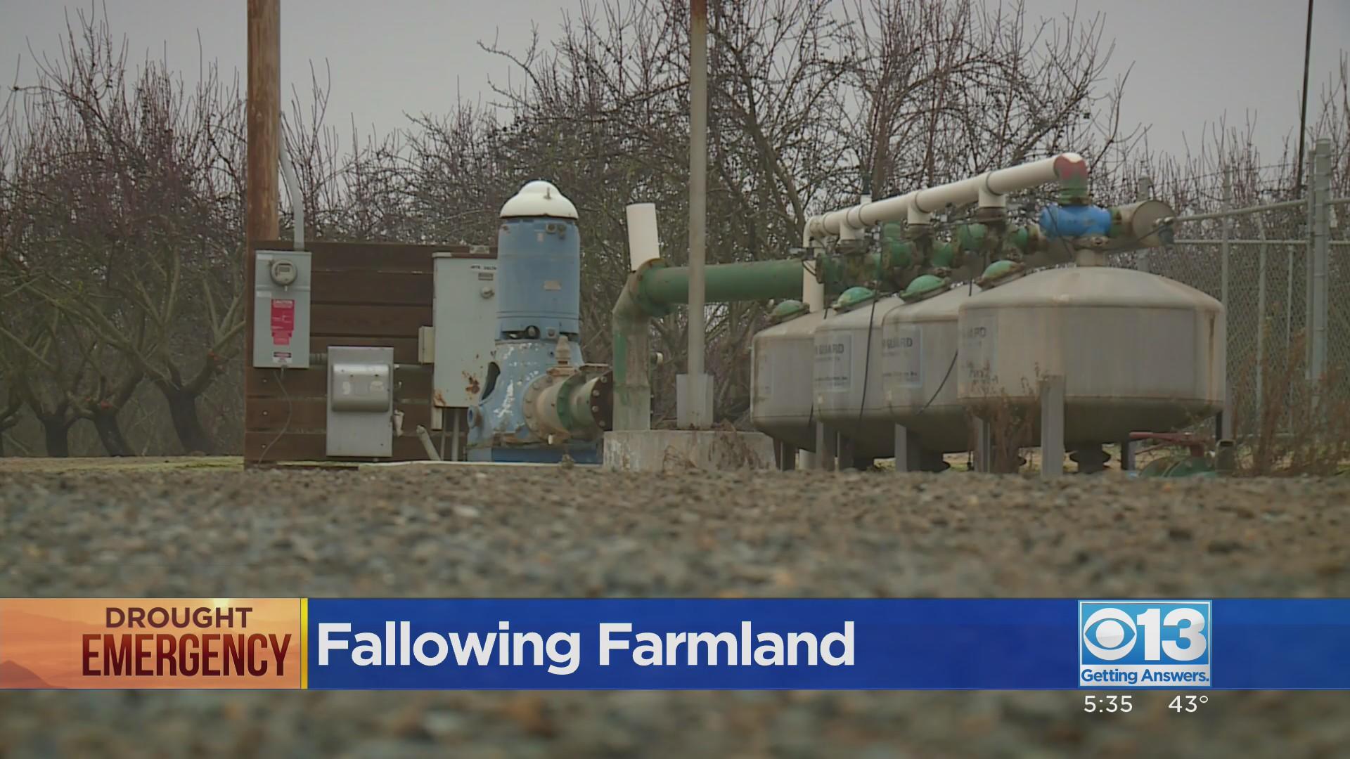 California program pays farmers to fallow fields to preserve water amid ...