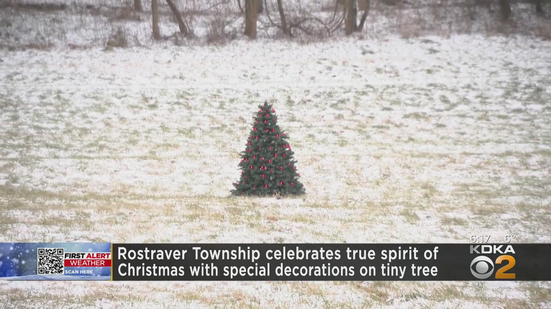The little Christmas tree that captivates a community - CBS Pittsburgh