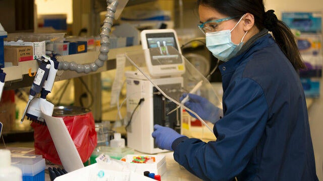 What is HMPV? The infectious respiratory disease spiking this year ...