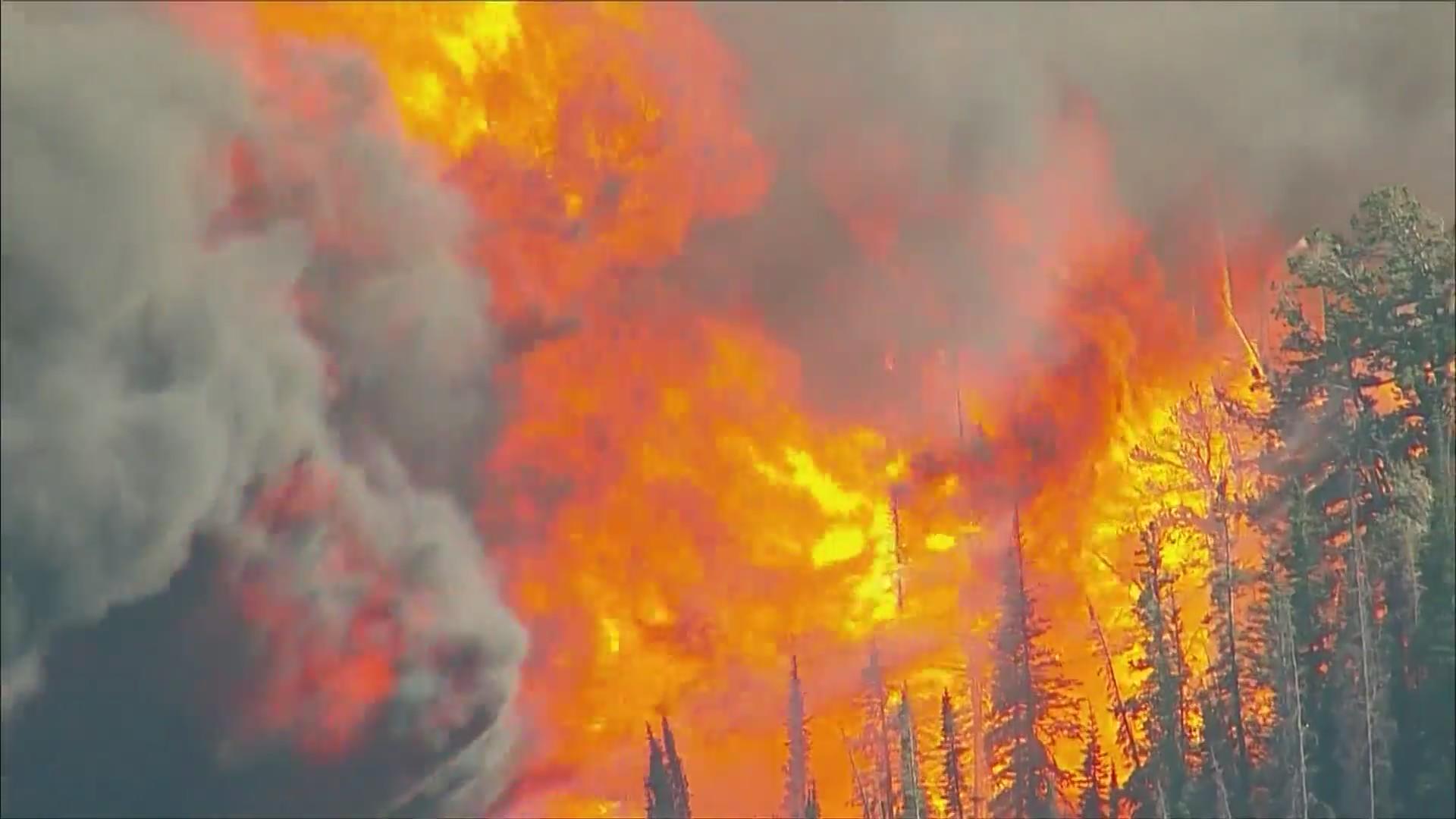 Larimer County Sheriff Justin Smith retires with legacy of overcoming ...