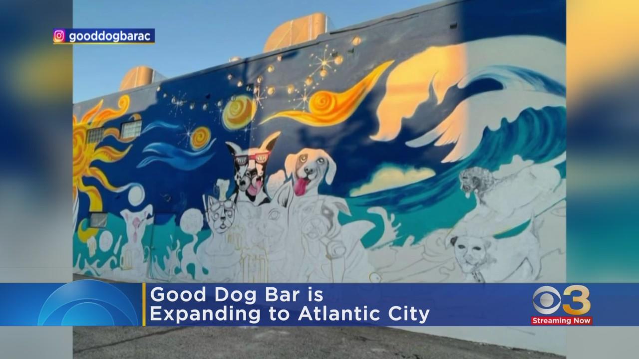 Philly's Good Dog Bar to open location in Atlantic City - CBS Philadelphia