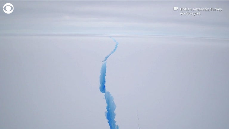 600-square-mile iceberg, roughly the size of two New York Cities ...