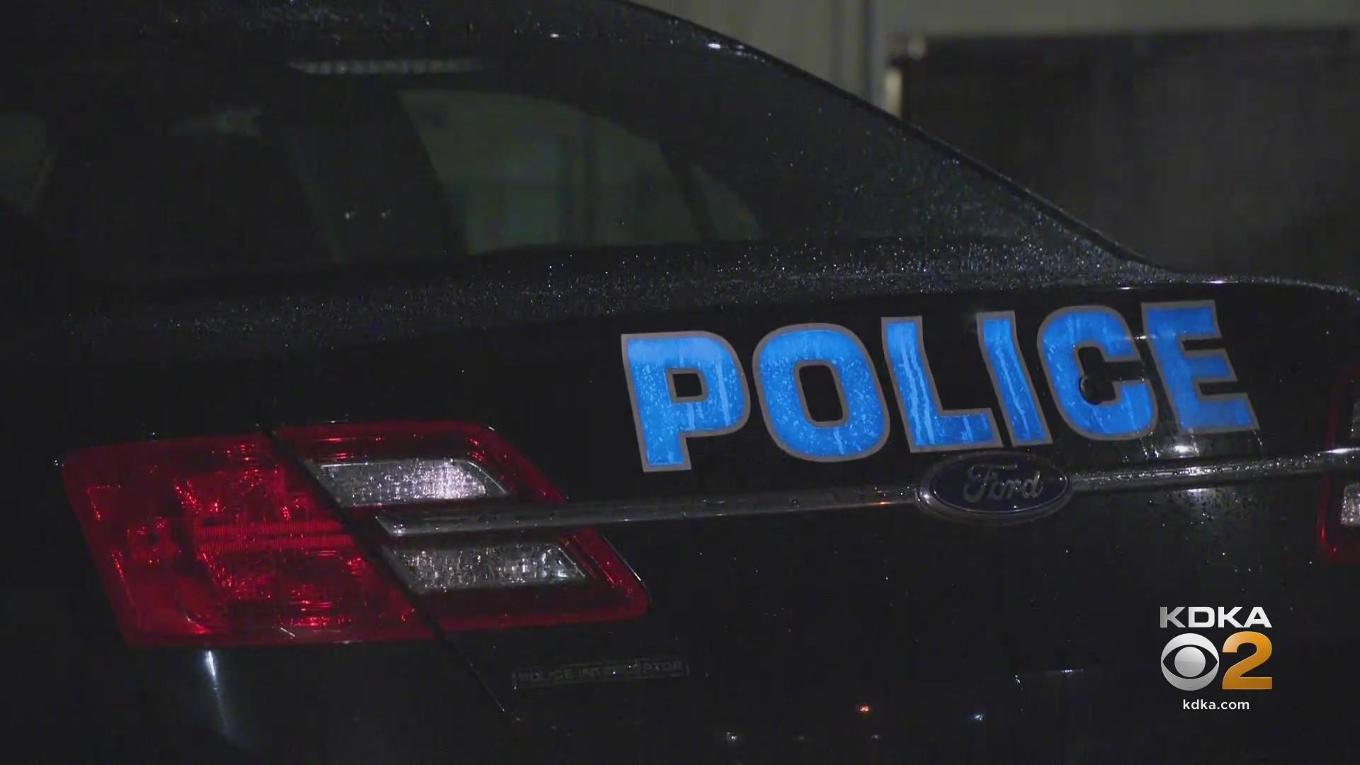 Leaders address questions about regional police force in 3 Beaver ...