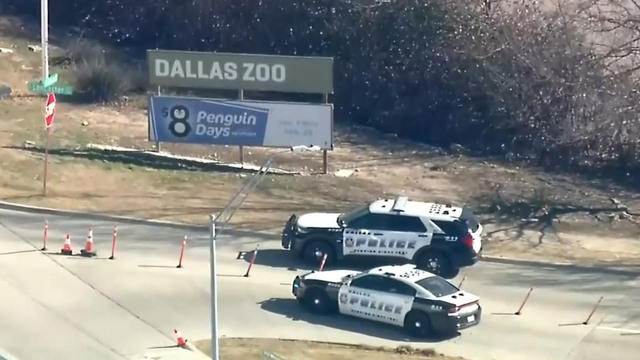 2 emperor tamarin monkeys missing from Dallas Zoo have been found ...