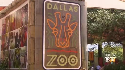Texas zoo inspections reveal incidents involving animal treatment ...