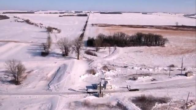 9 people trying to enter U.S. from Canada rescued from sub-freezing bog ...