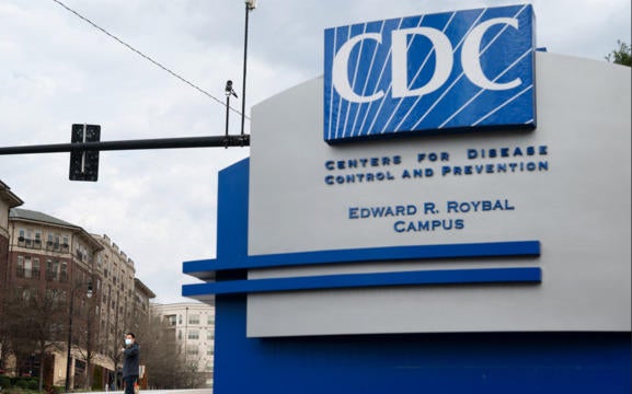 What is Shigella bacteria? Experts explain symptoms, causes, treatments ...