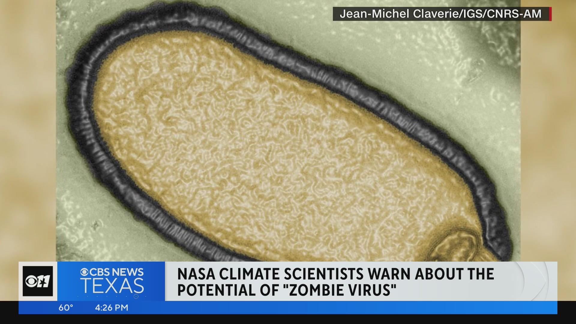 Scientists have revived a 'zombie' virus that spent 48,500 years frozen ...