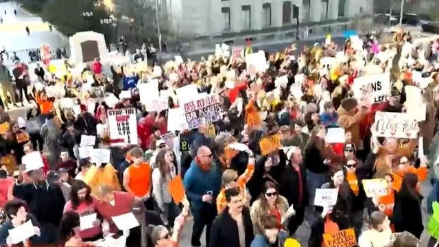 Hundreds protest at Tennessee Capitol for tighter gun controls after ...