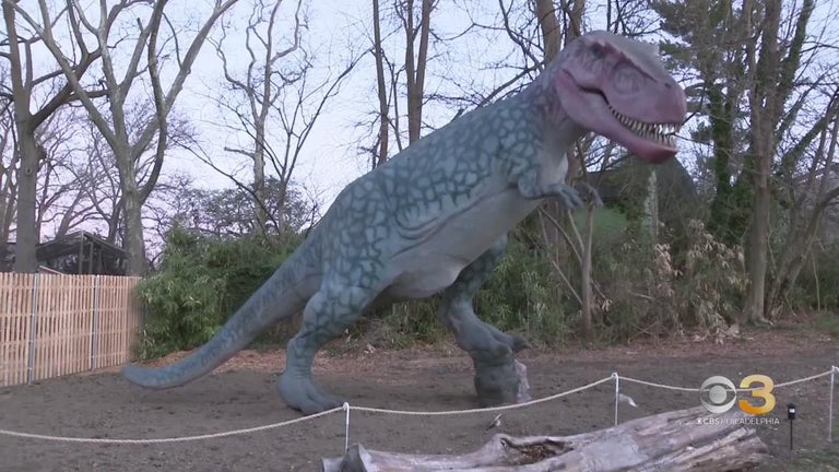 New Philadelphia Zoo exhibit shows you how dinosaurs lived - CBS ...