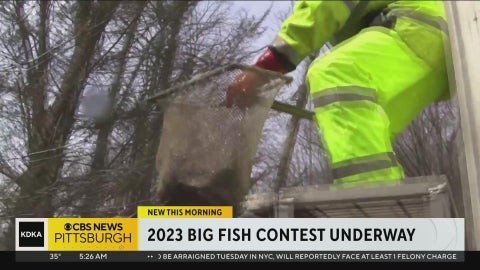 2023 Big Fish Contest underway - CBS Pittsburgh