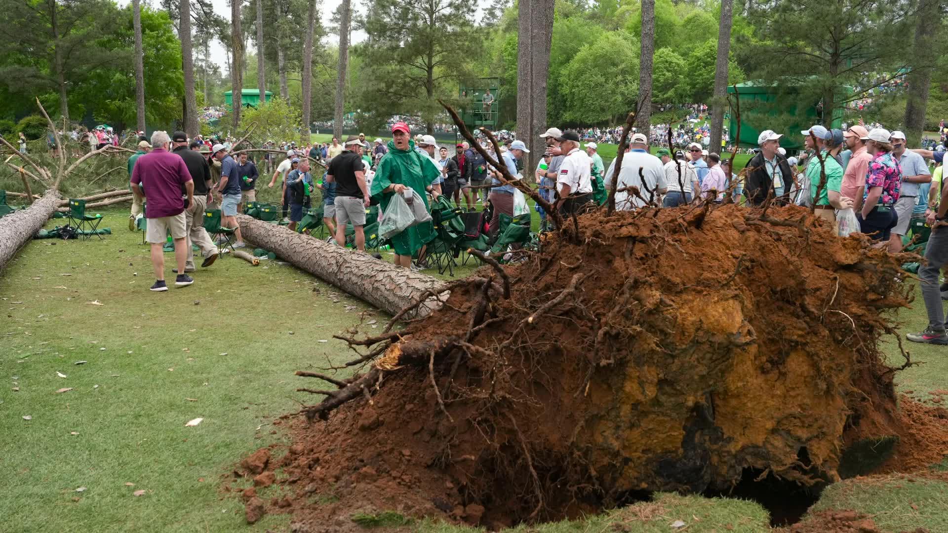 WATCH: Trees fall near spectators during Masters golf tournament - CBS ...