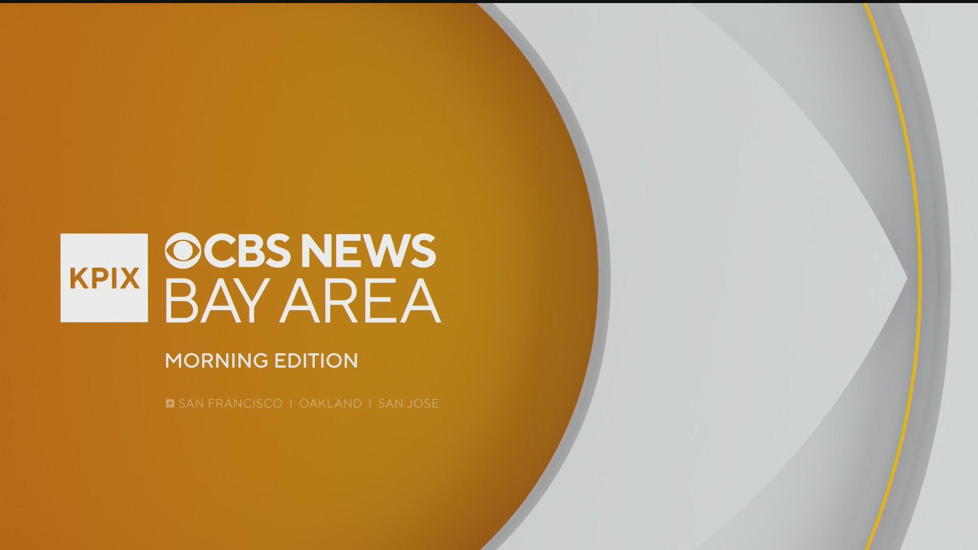 San Francisco Zoo welcomes nine recently born prairie dog pups - CBS ...