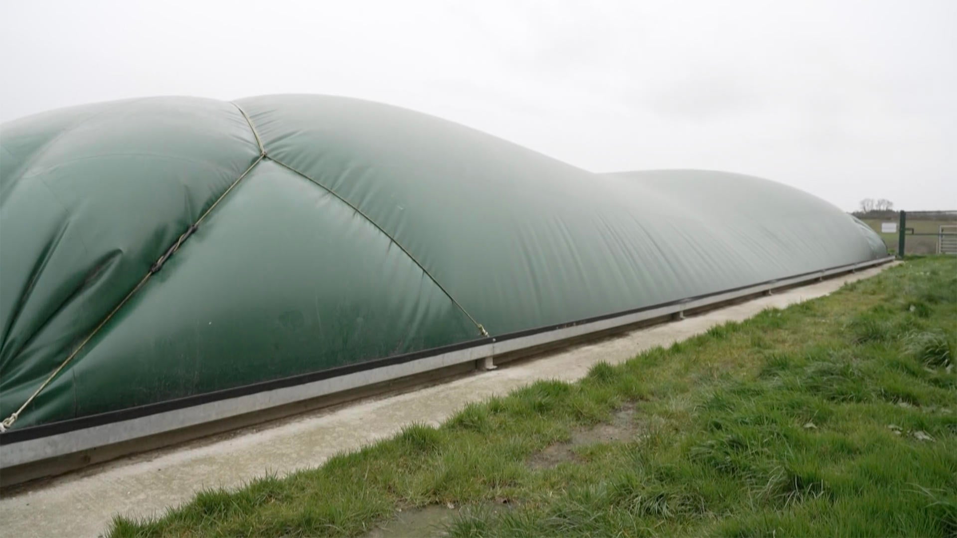 New process turns cow waste into usable gas: "A form of liquid gold ...