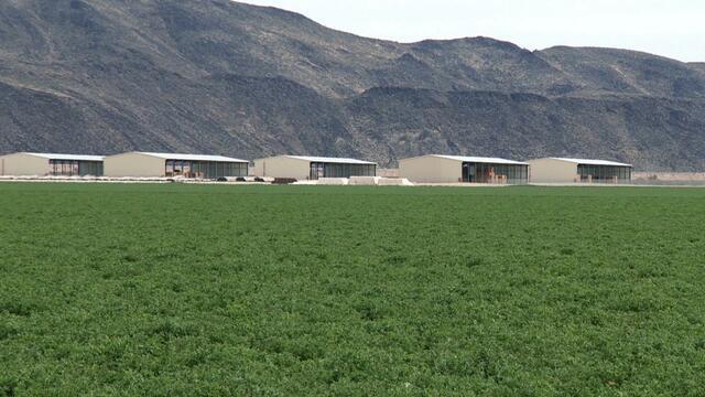 Saudi company draws unlimited Arizona ground water to grow alfalfa amid ...