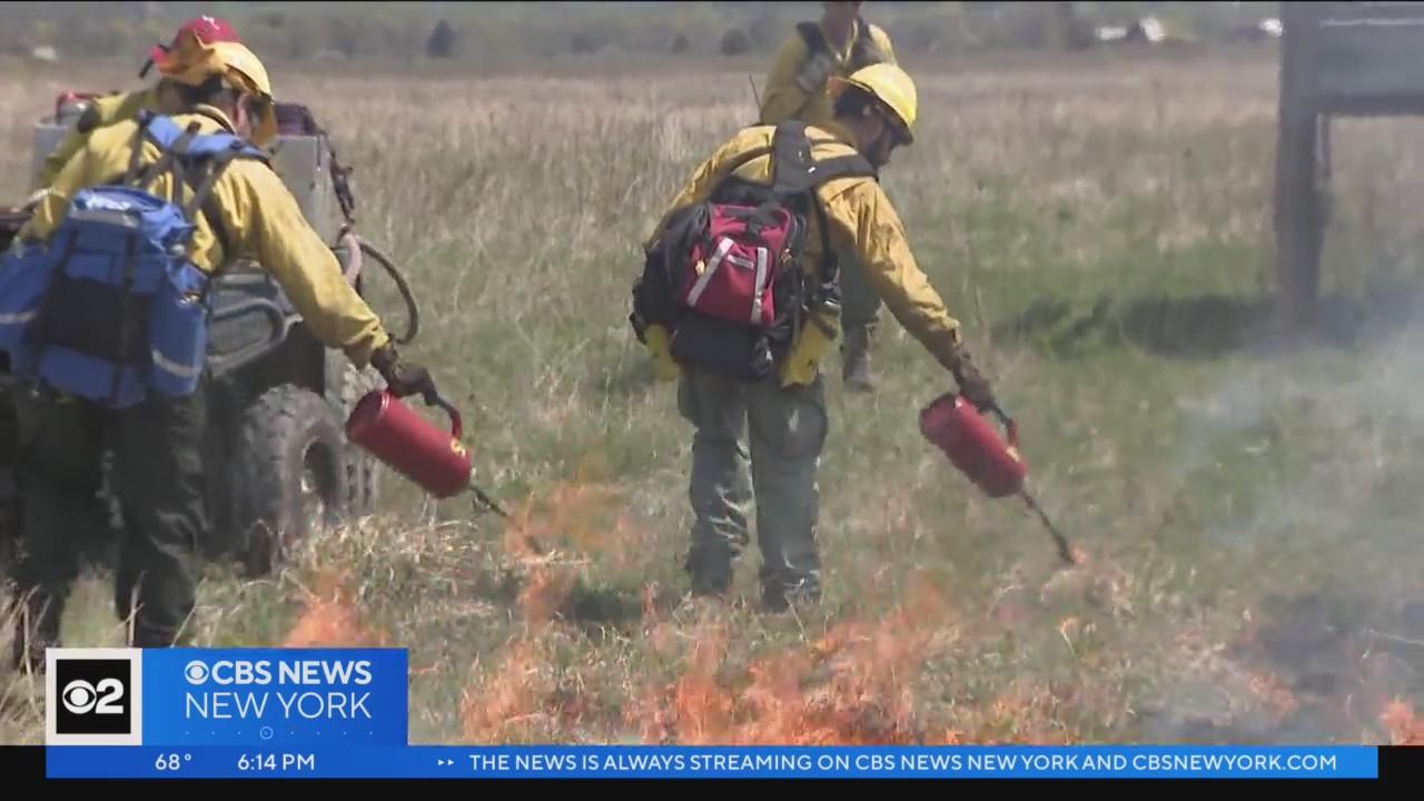 Prescribed burn ignited in Ulster County wildlife refuge to reduce ...