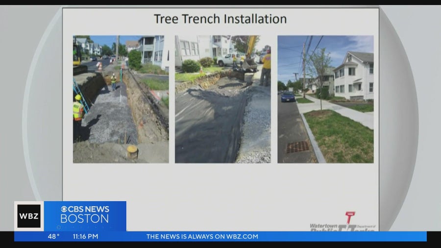 Tree trenches will help cool Watertown heat island, thanks to federal ...