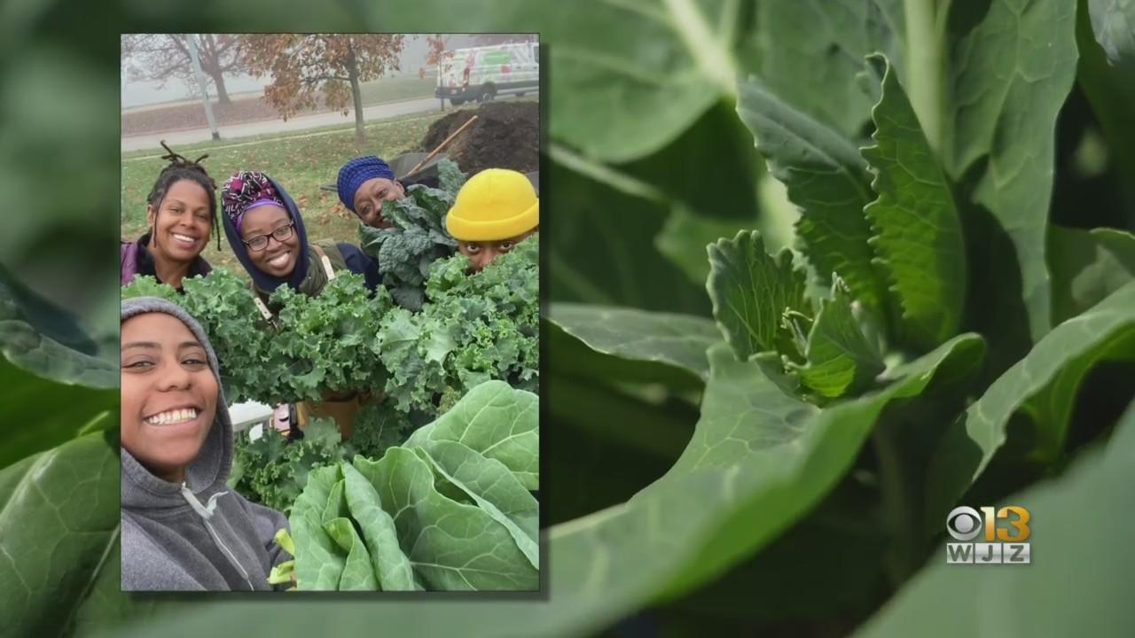 Farm Alliance of Baltimore empowers communities through sustainable ...