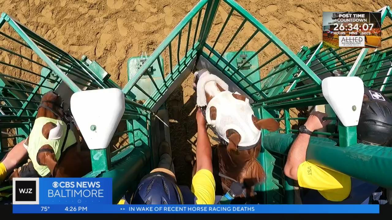 Preakness 148: Meet the starting gate crew, the cowboys of horse racing ...