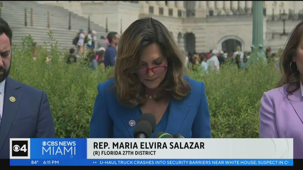 Immigration reform bill introduced by South Florida Rep. Maria Elvira ...
