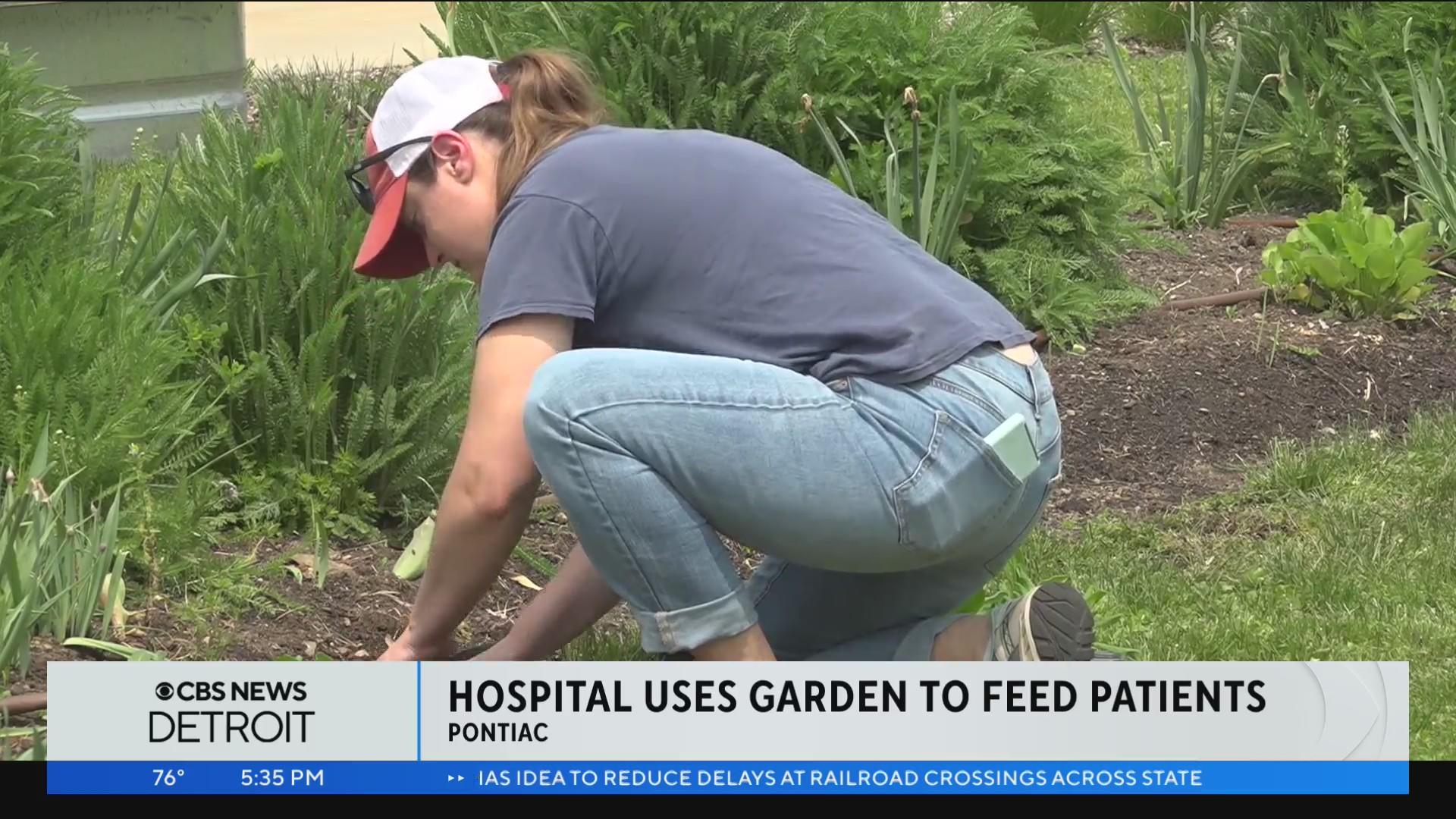 Trinity Health Michigan's hospital farms assist food insecure ...