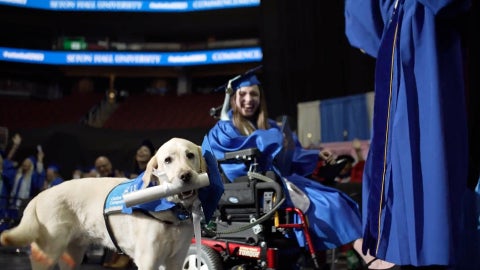 Service dog receives diploma with owner at New Jersey college ...