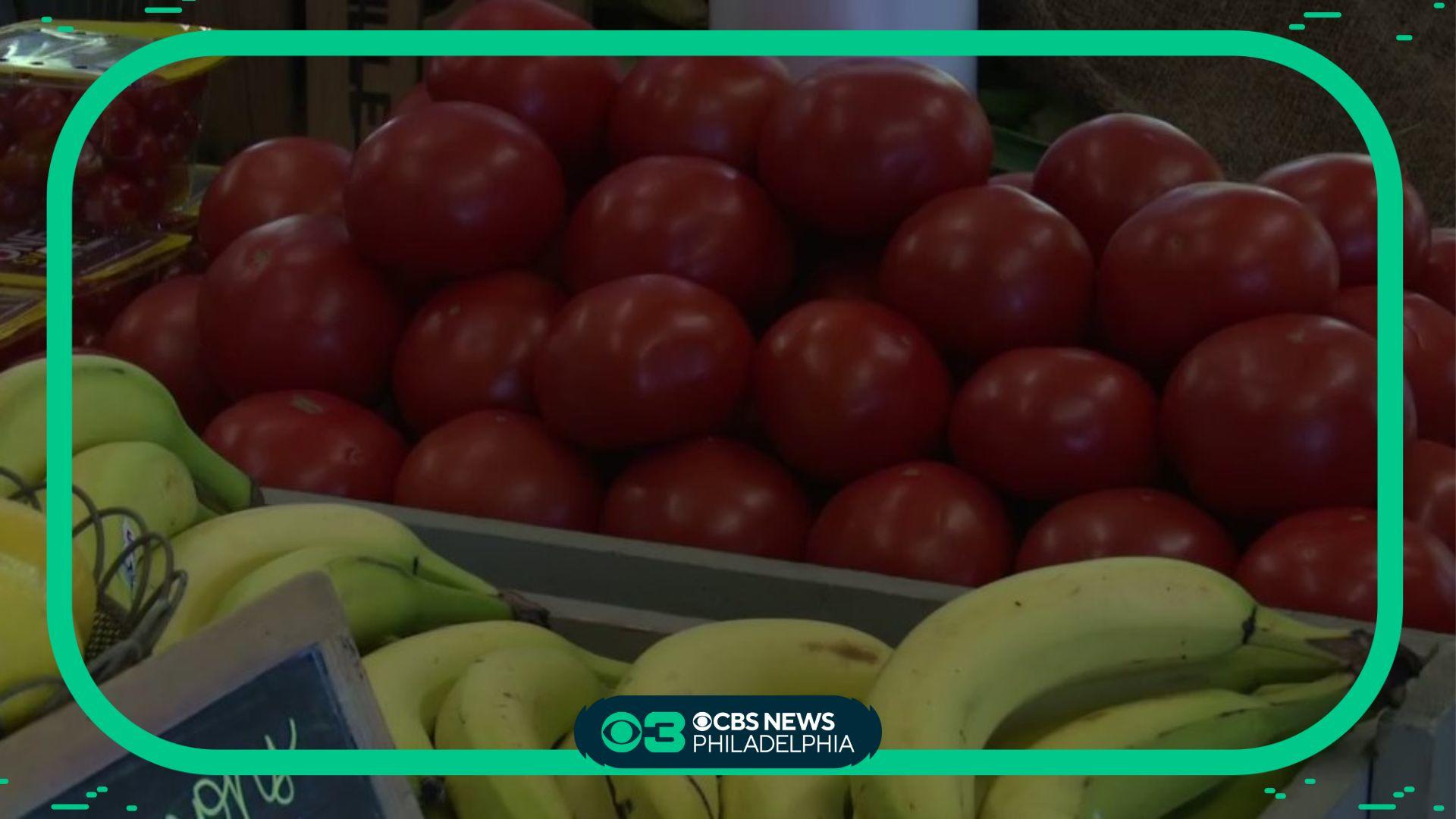 Farming program aims to help farmers produce more affordable crops ...