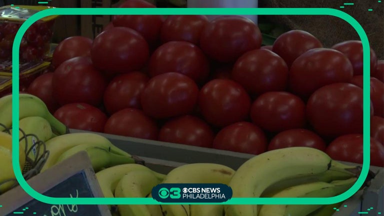 Farming program aims to help farmers produce more affordable crops ...