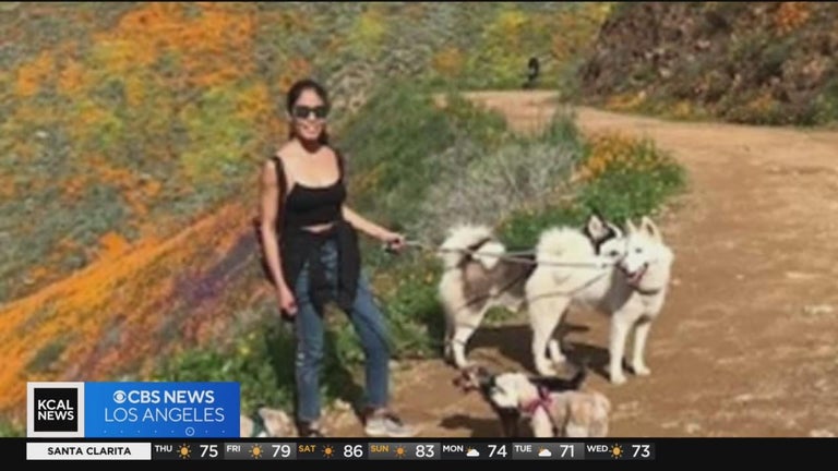 Animal shelter volunteer awarded $6.8 million after being mauled by dog ...